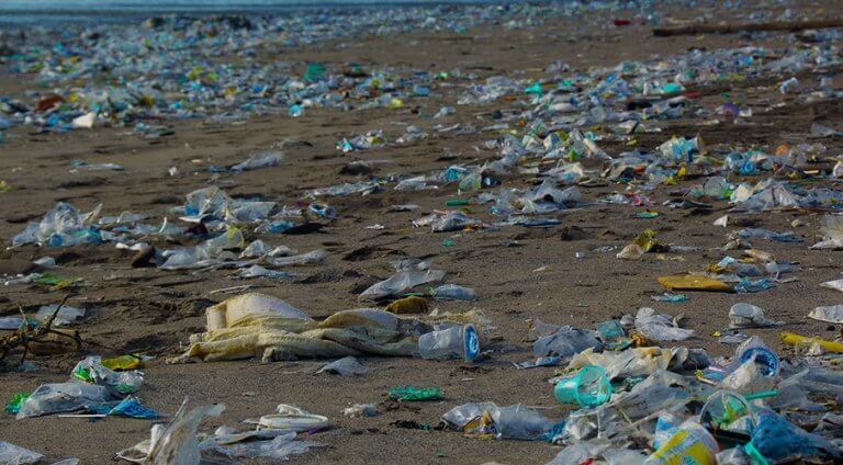 Best solution for plastic waste is incineration: Randall Denley for ...