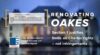 Renovating Oakes - Section 1 justifies limits on Charter rights — not ...